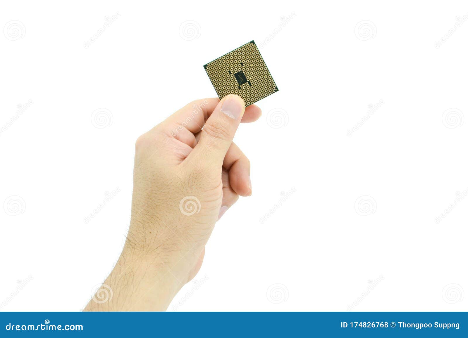 CPU in Hand Isolated White Background Stock Photo - Image of closeup ...