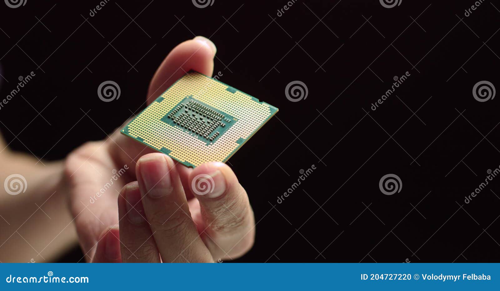 CPU in Hands of a Technician. the Processor is Being Examined for ...