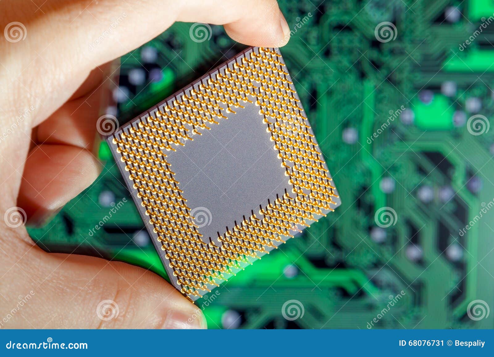 CPU with legs in a hand. stock image. Image of legs, contacts - 68076731