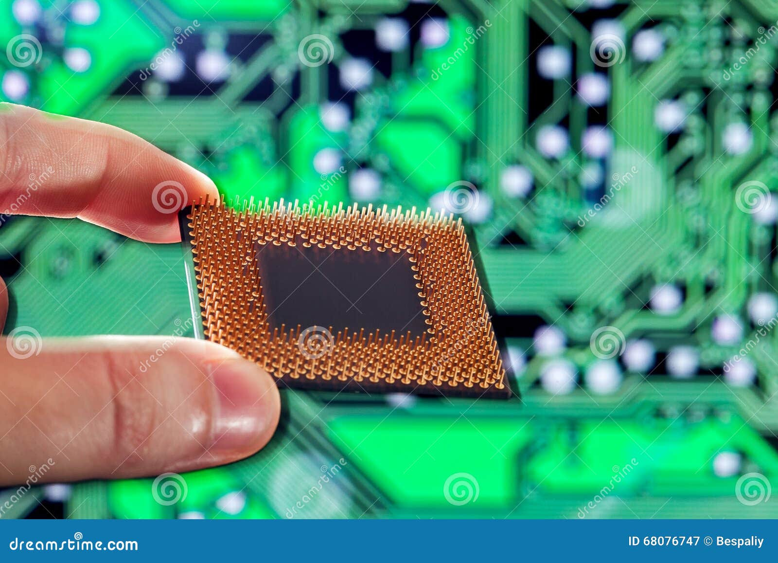CPU with legs in a hand. stock image. Image of microprocessor - 68076747