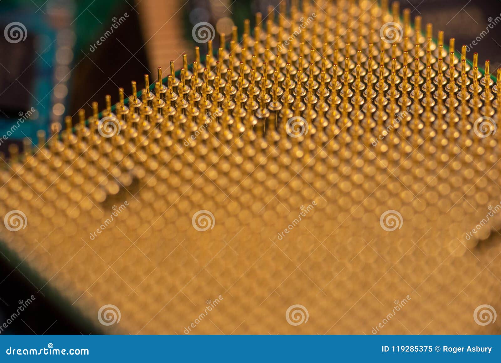 CPU Pin Grid Array Mit Goldenen Stiften Stockbild - Bild von gold ...