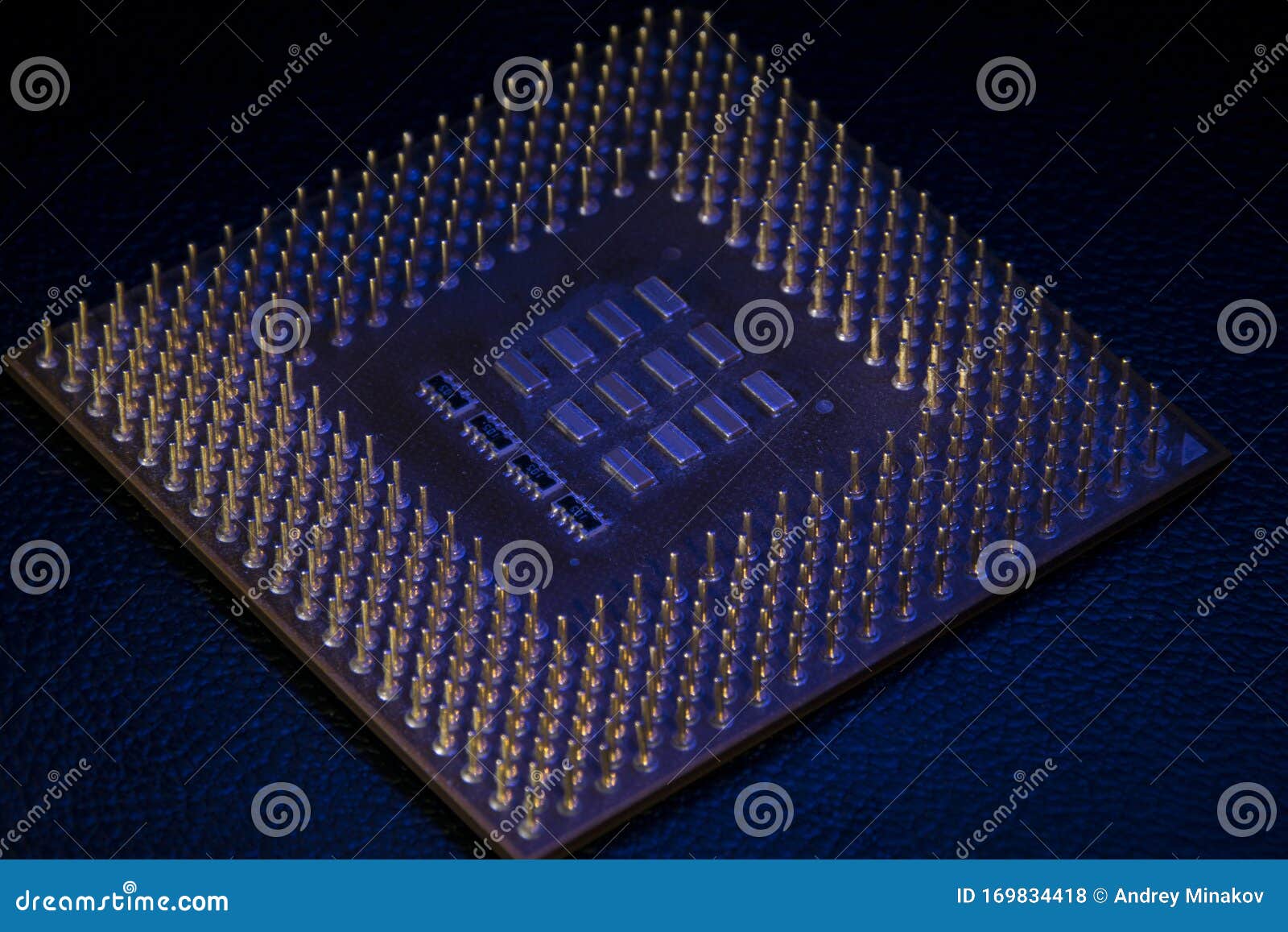CPU Processor Pins Up in Blue Light Close-up Stock Illustration ...