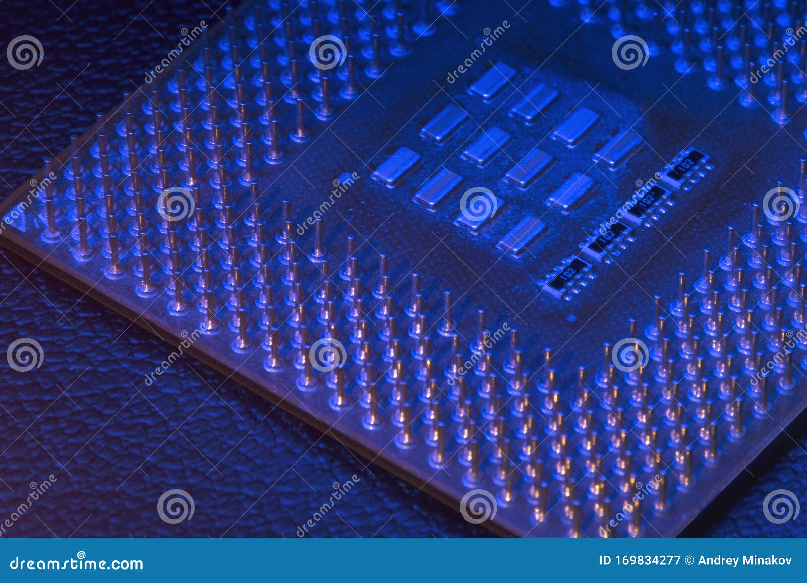 CPU Processor Pins Up in Blue and Red Light Close-up Stock Illustration ...