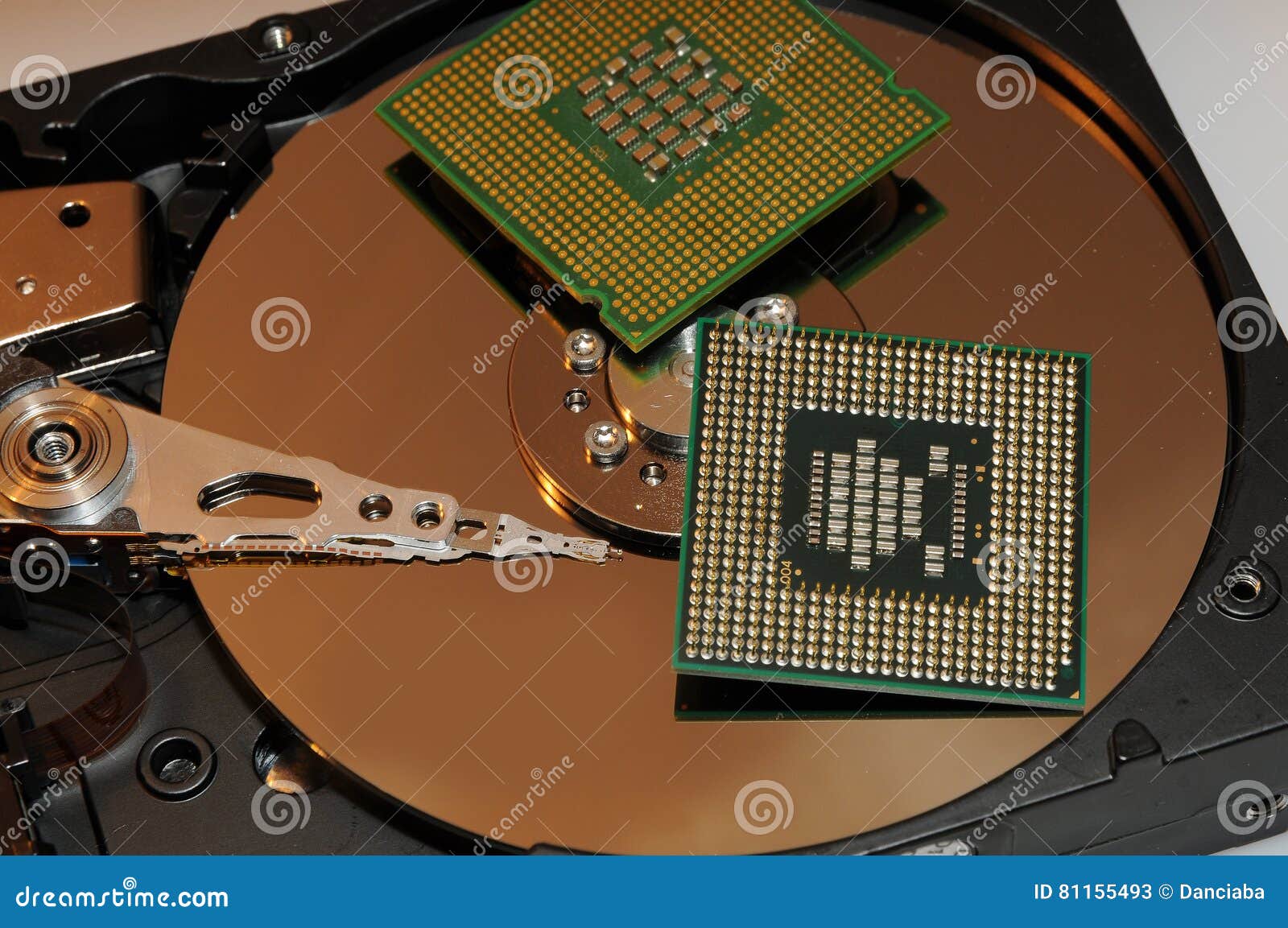 CPU Processors on Reflective Hard Disk Plate. Stock Image - Image of ...