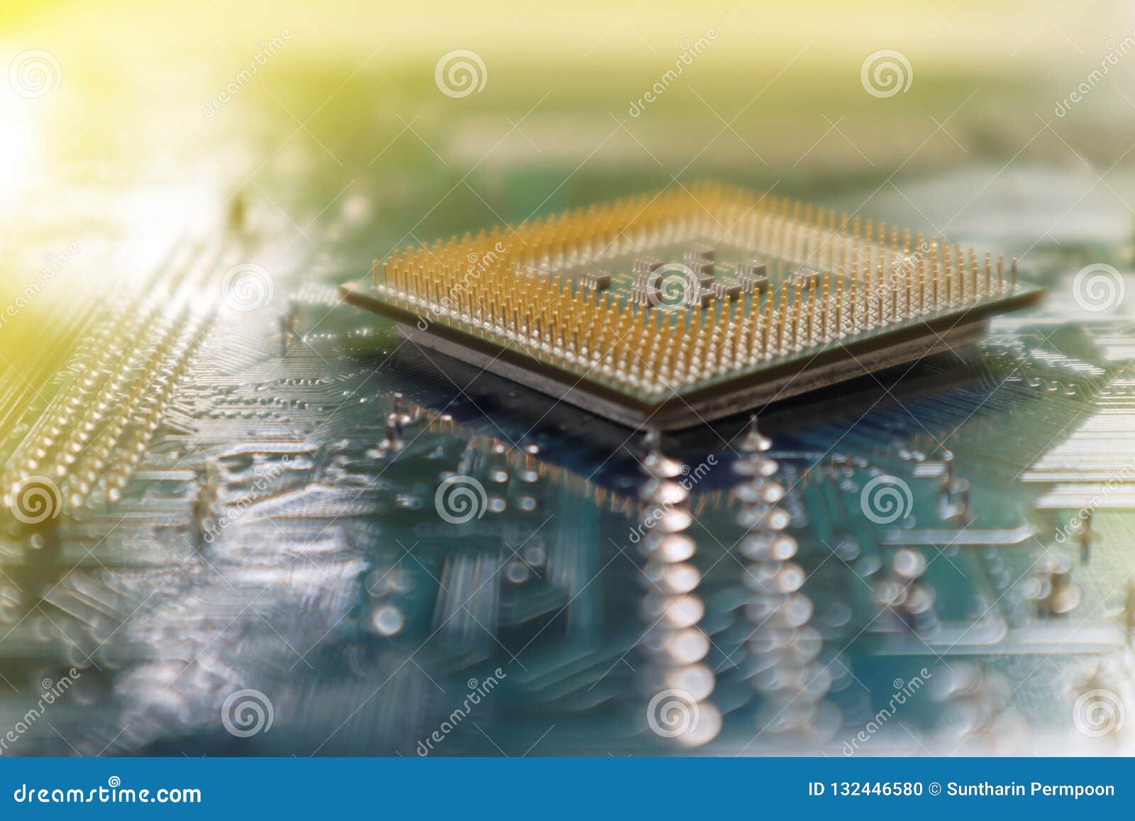 CPU for the Socket of the Computer Motherboard. Concept of Computer ...