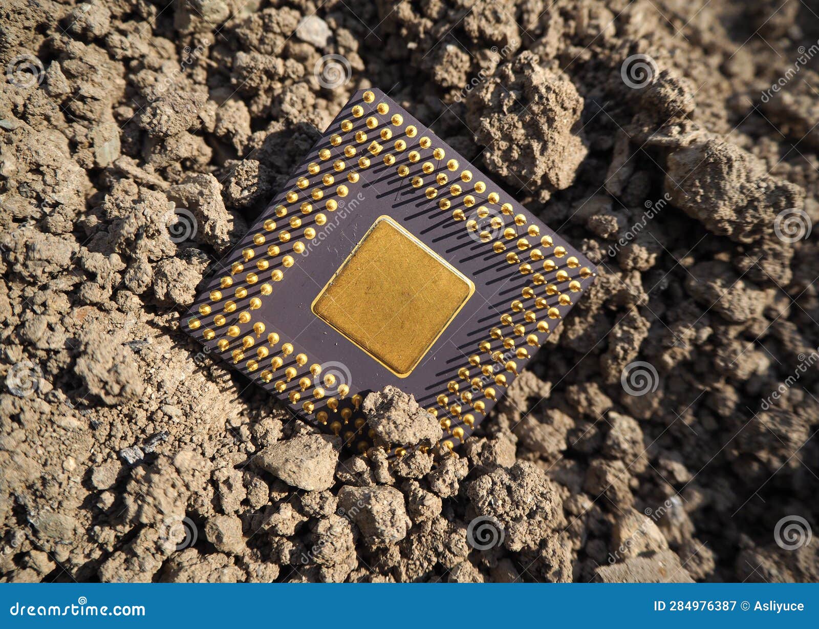 CPU on the soil stock image. Image of pattern, farm - 284976387