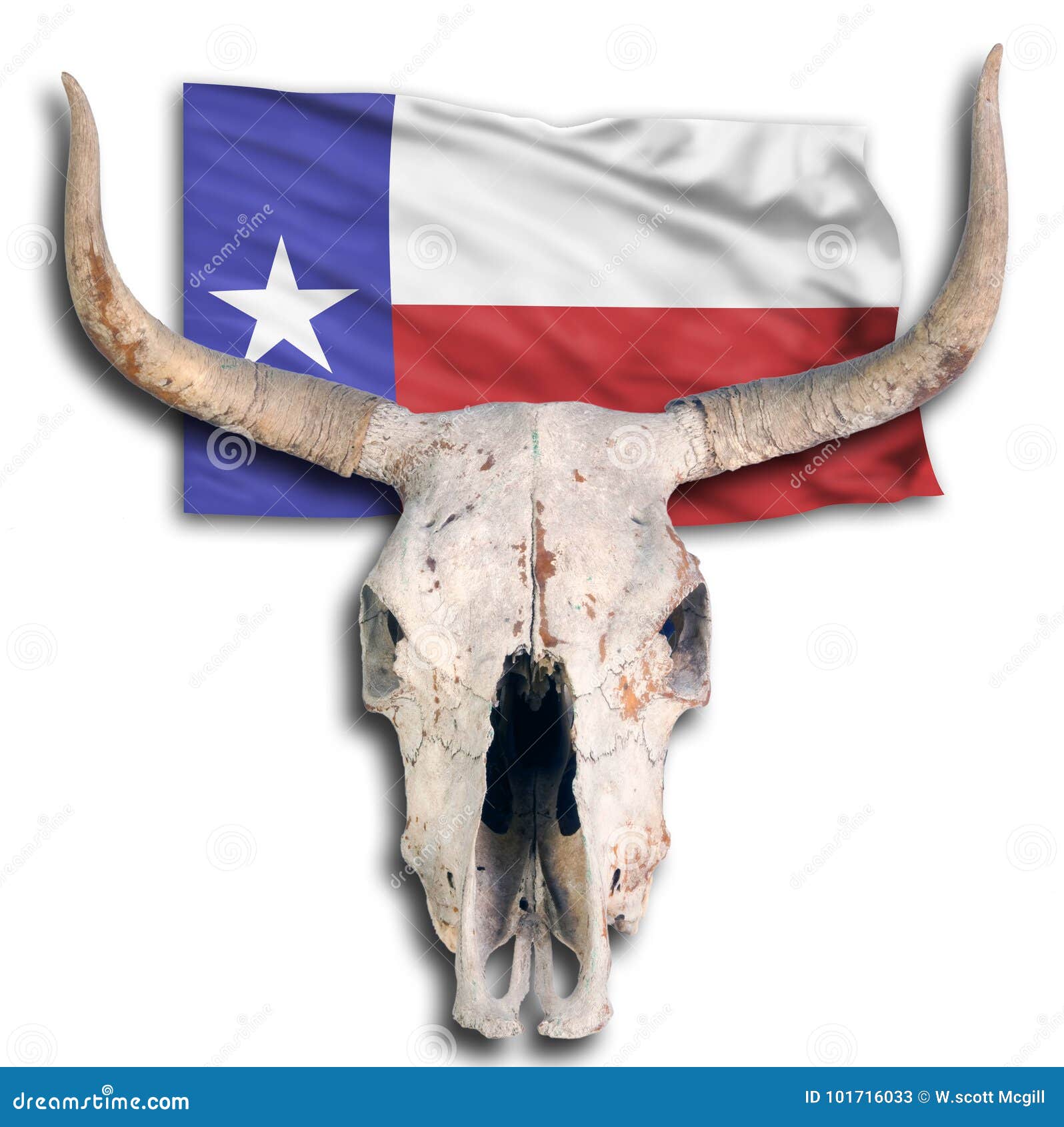 Cráneo Y Texas Flag De La Vaca Imagen de archivo - Imagen de occidental ...
