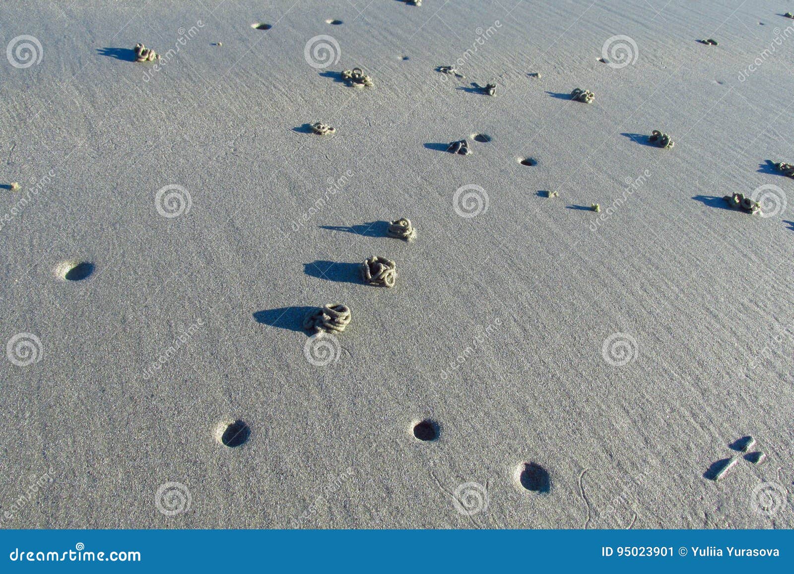Crab burrows on sand beach stock image. Image of sand - 95023901