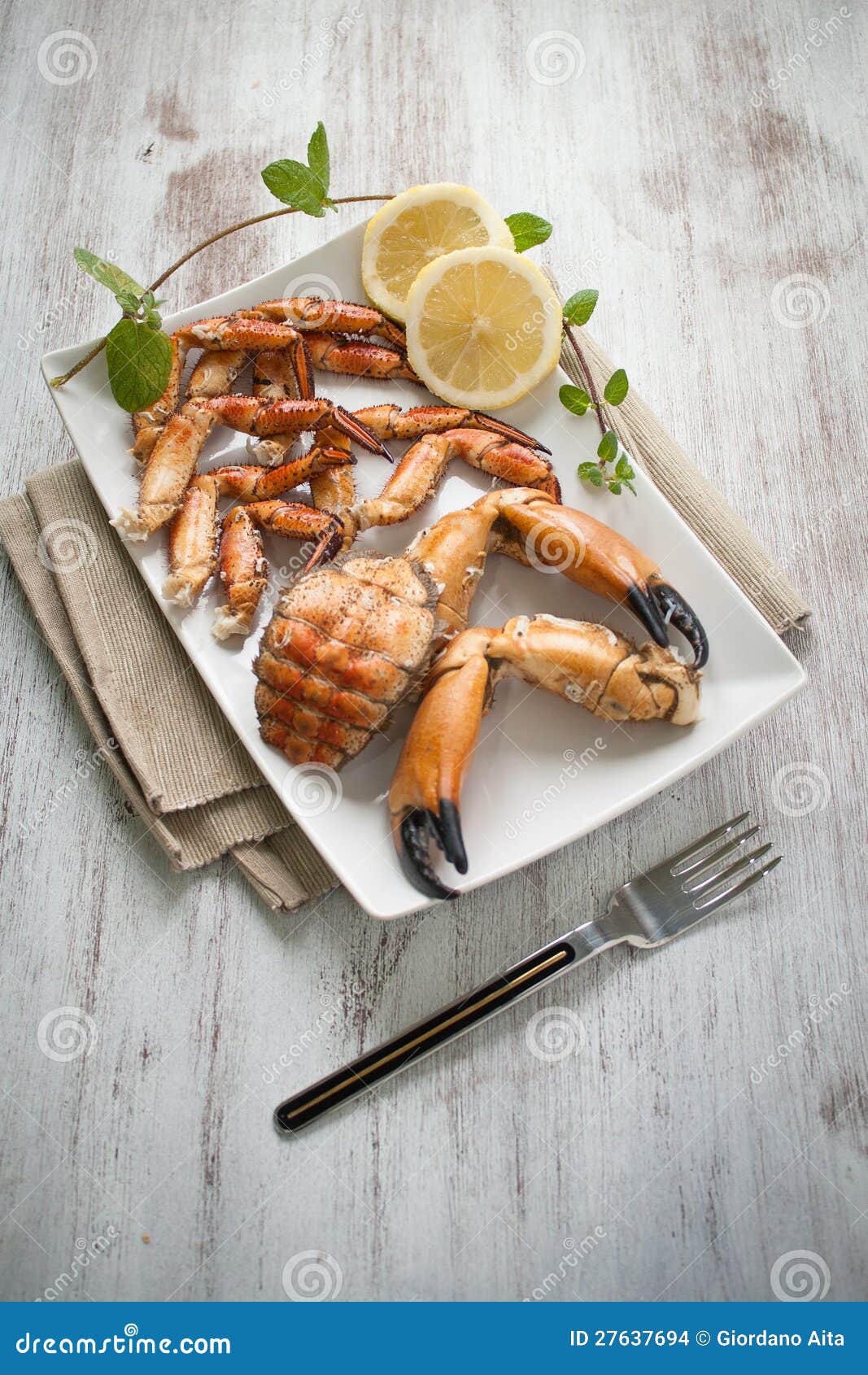Crab claw stock photo. Image of shellfish, nipper, claw - 27637694