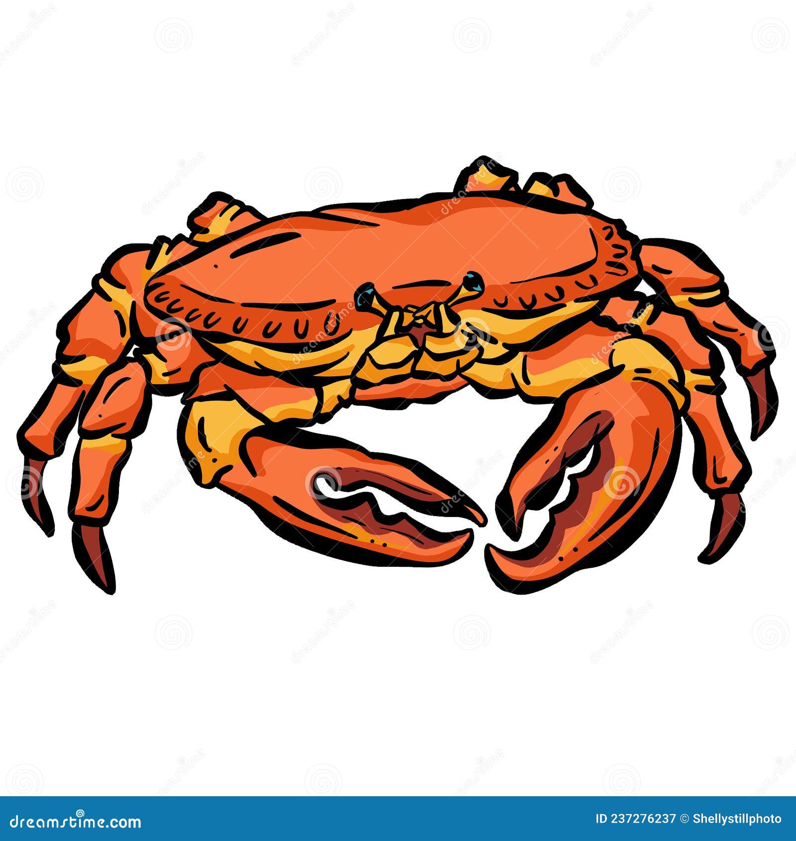 Crab Crustacean Shell Vector Cartoon Illustration Shrimp Shellfish ...