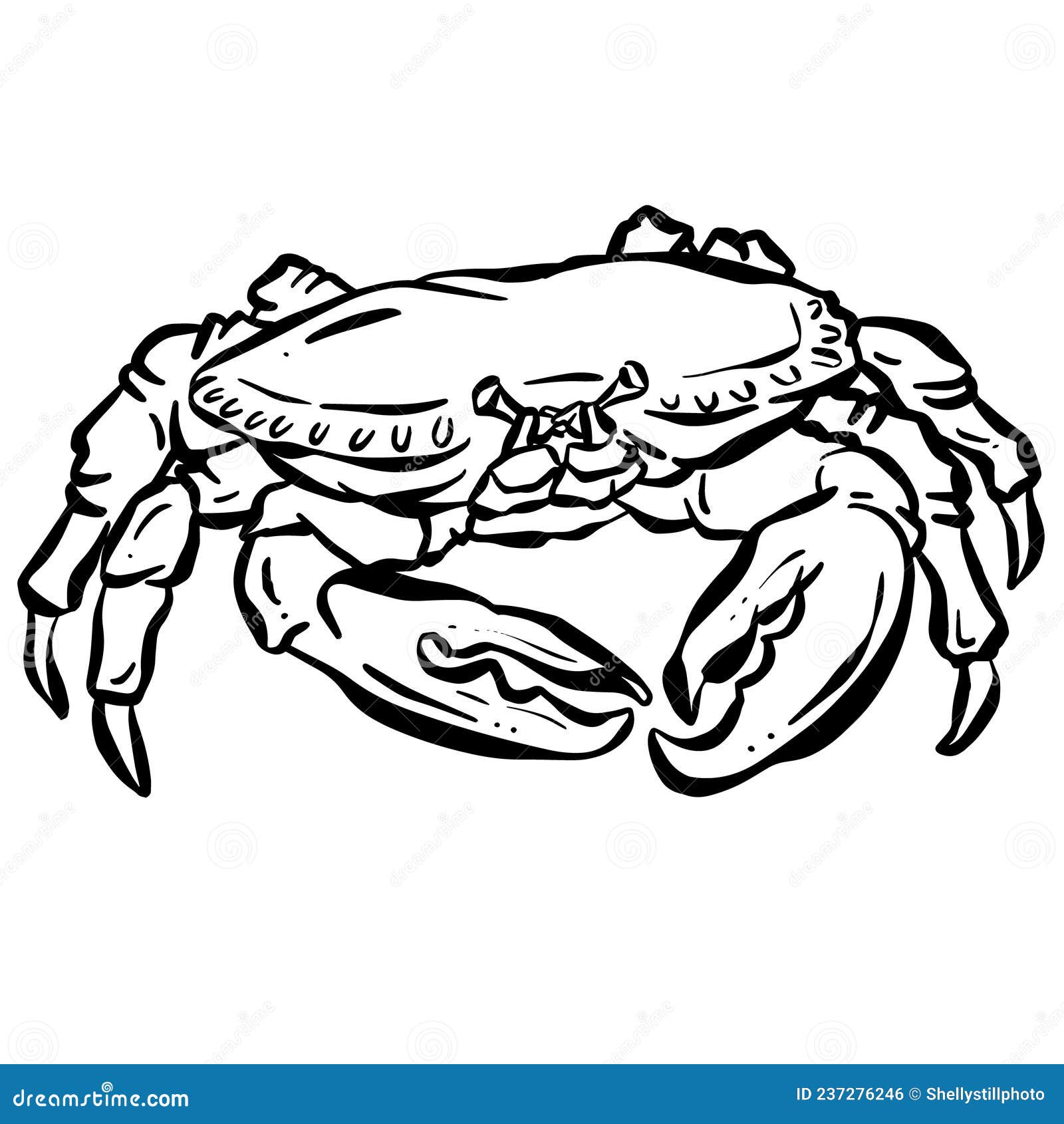 Crab Crustacean Shell Vector Cartoon Illustration Shrimp Shellfish ...
