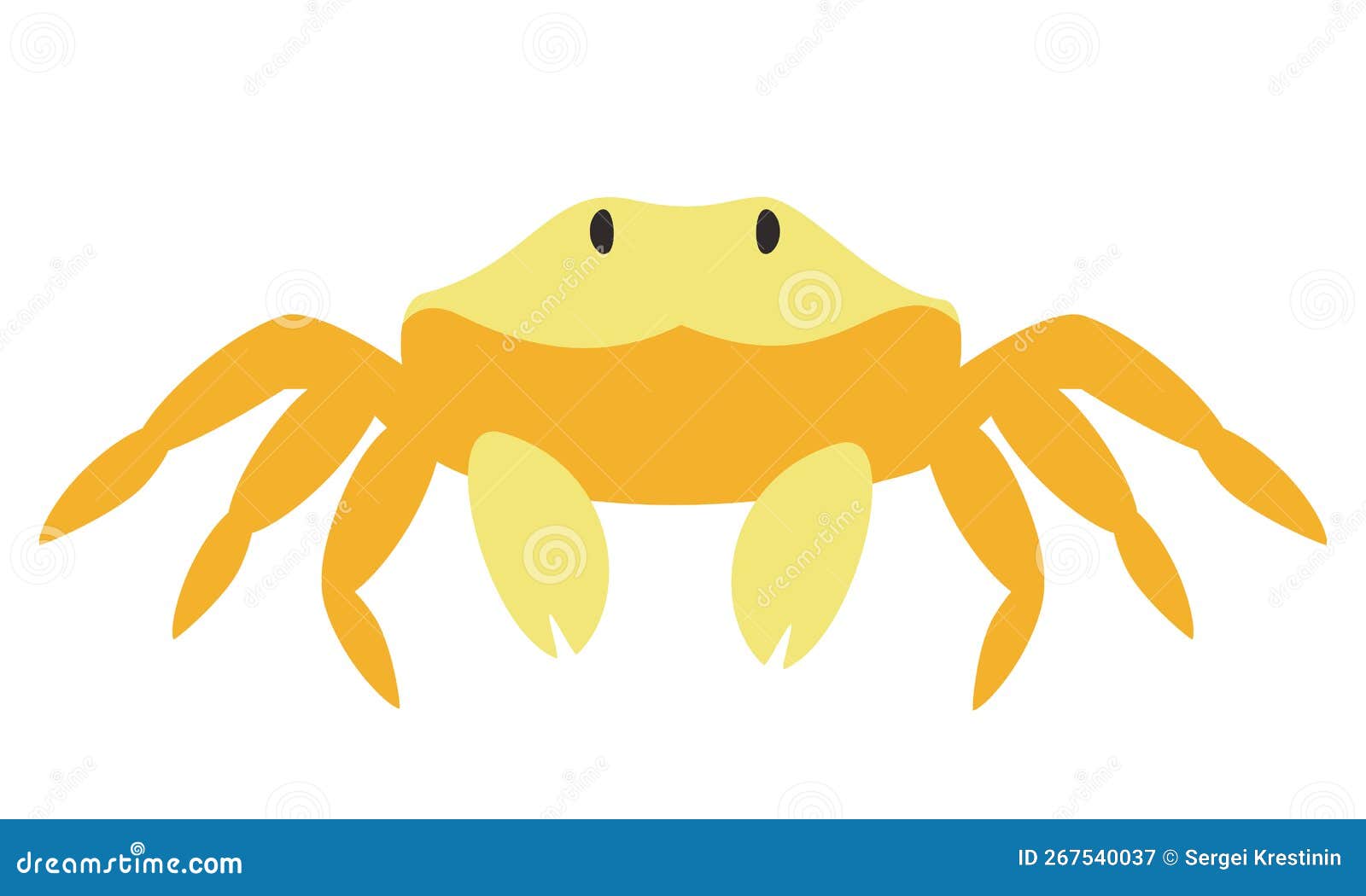 Crab front view. stock illustration. Illustration of marine - 267540037
