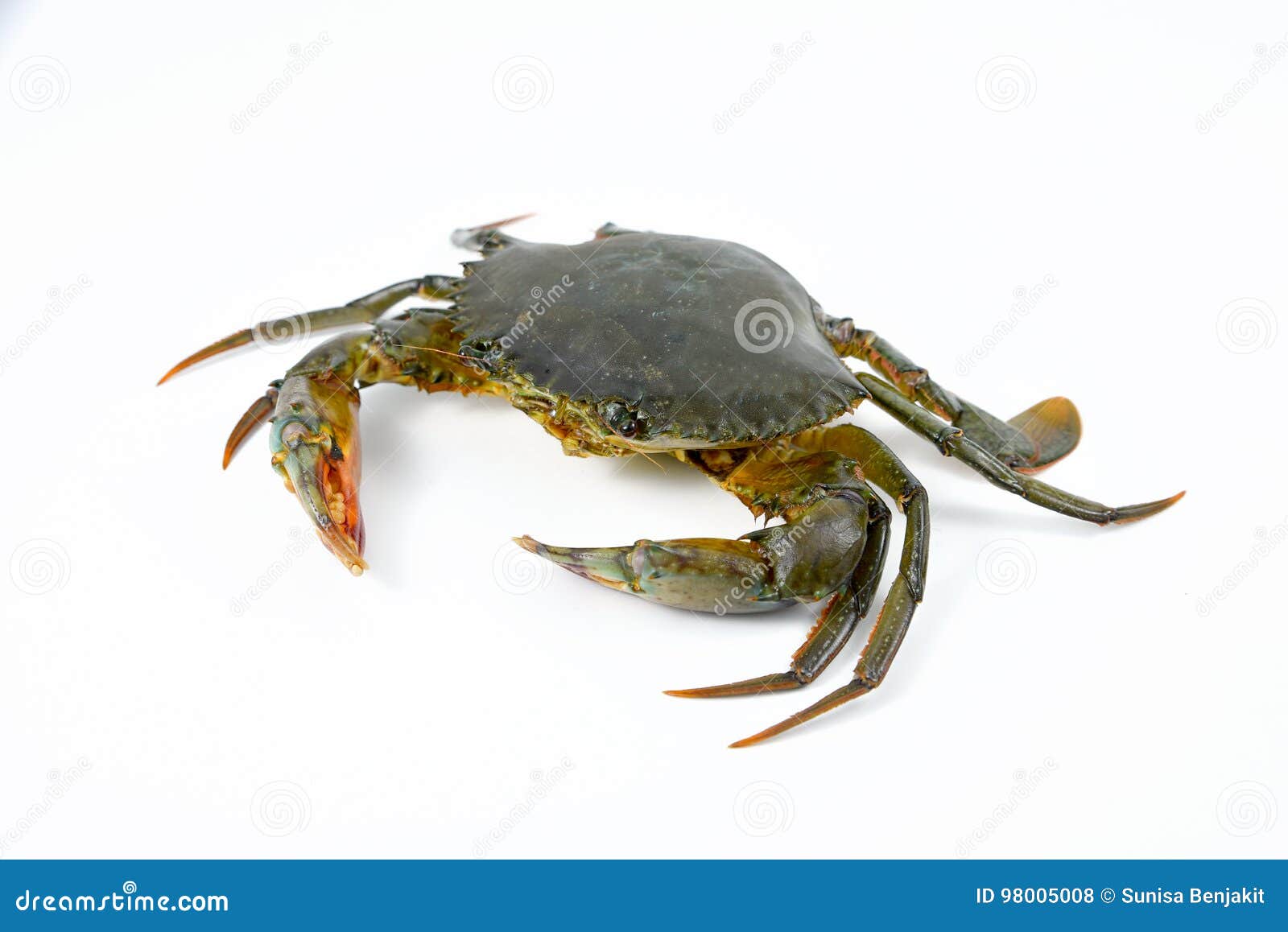 Crab Isolated on White Background. Stock Photo - Image of cuisine, meal ...