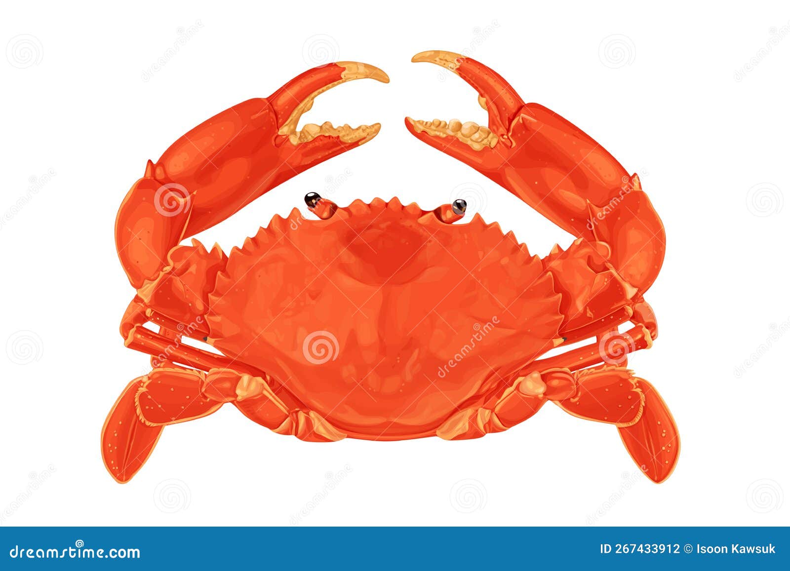 Crab Isolated on White Background.perfect for Wallpaper or Design ...