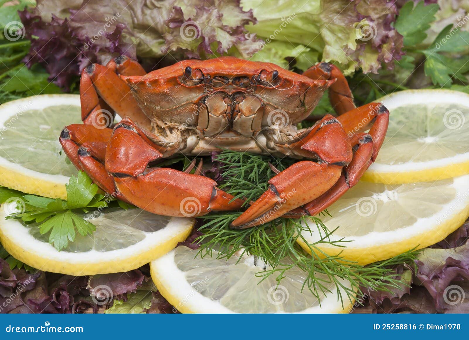 Crab meal stock photo. Image of meal, cooked, bowl, color - 25258816