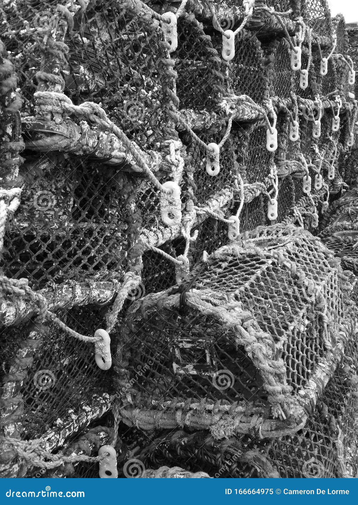 Crab Nets Close Up stock image. Image of backdrop, closeup - 166664975