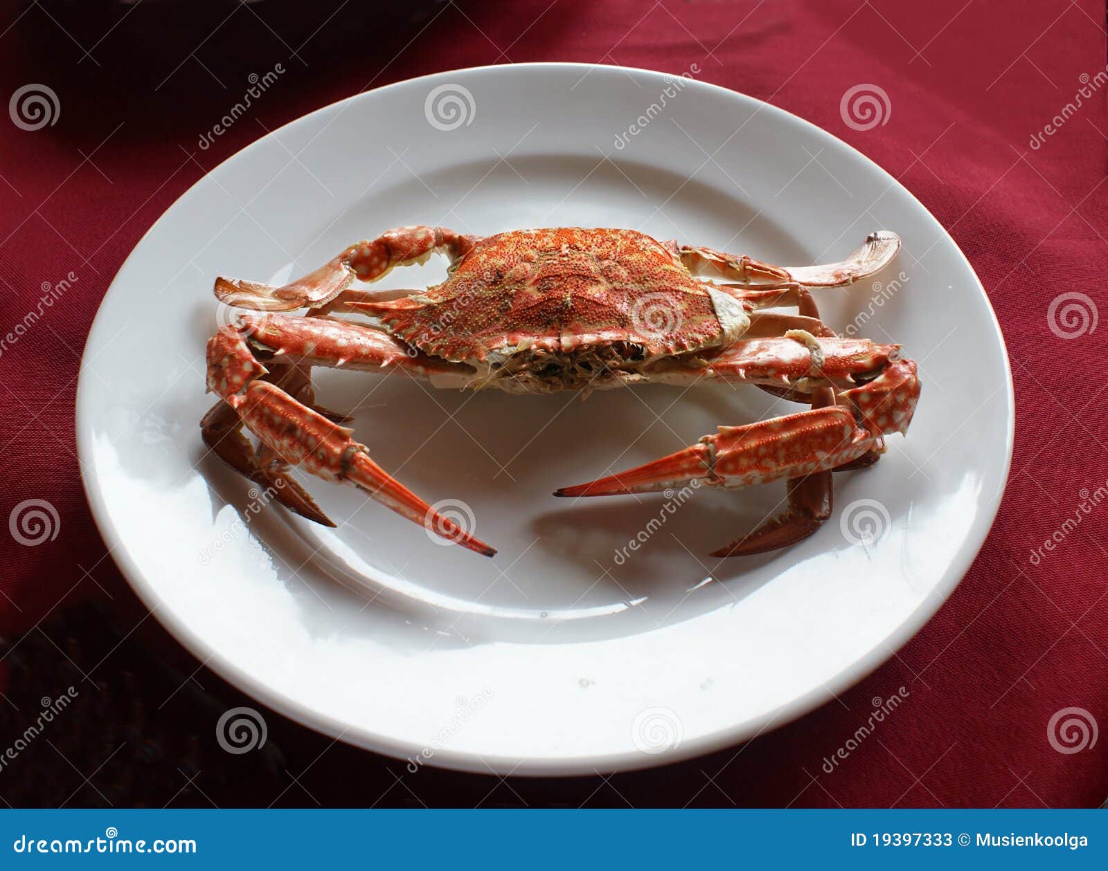 Crab on the plate. stock image. Image of food, dish, table - 19397333