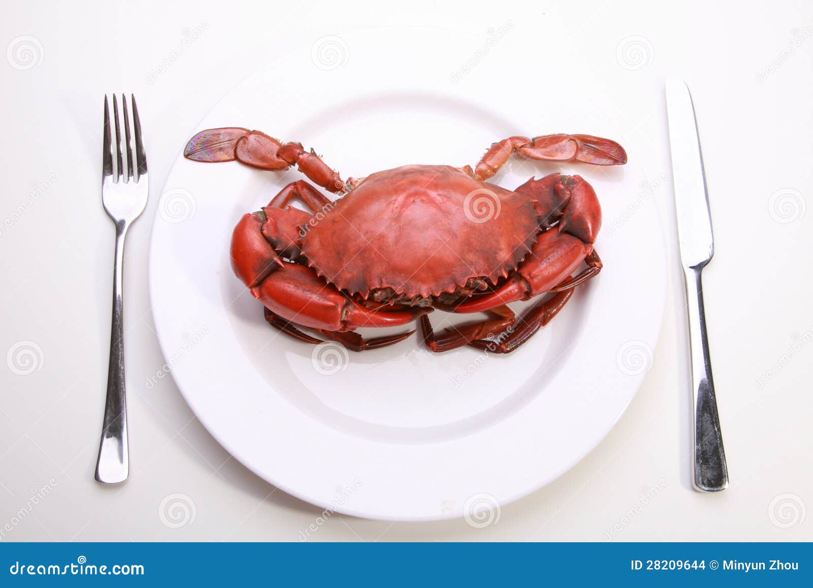 Crab on plate stock photo. Image of white, plate, marine - 28209644
