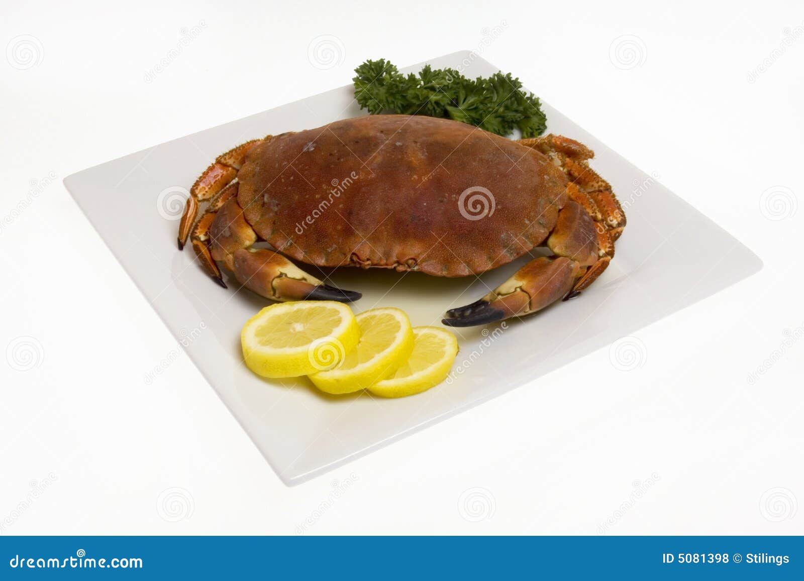 Crab on plate stock photo. Image of nutricious, healthy - 5081398