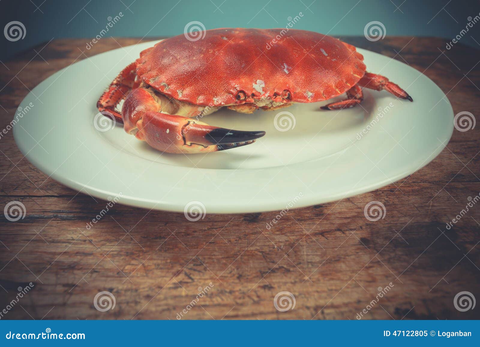 Crab on plate stock image. Image of dinner, wooden, tasty - 47122805