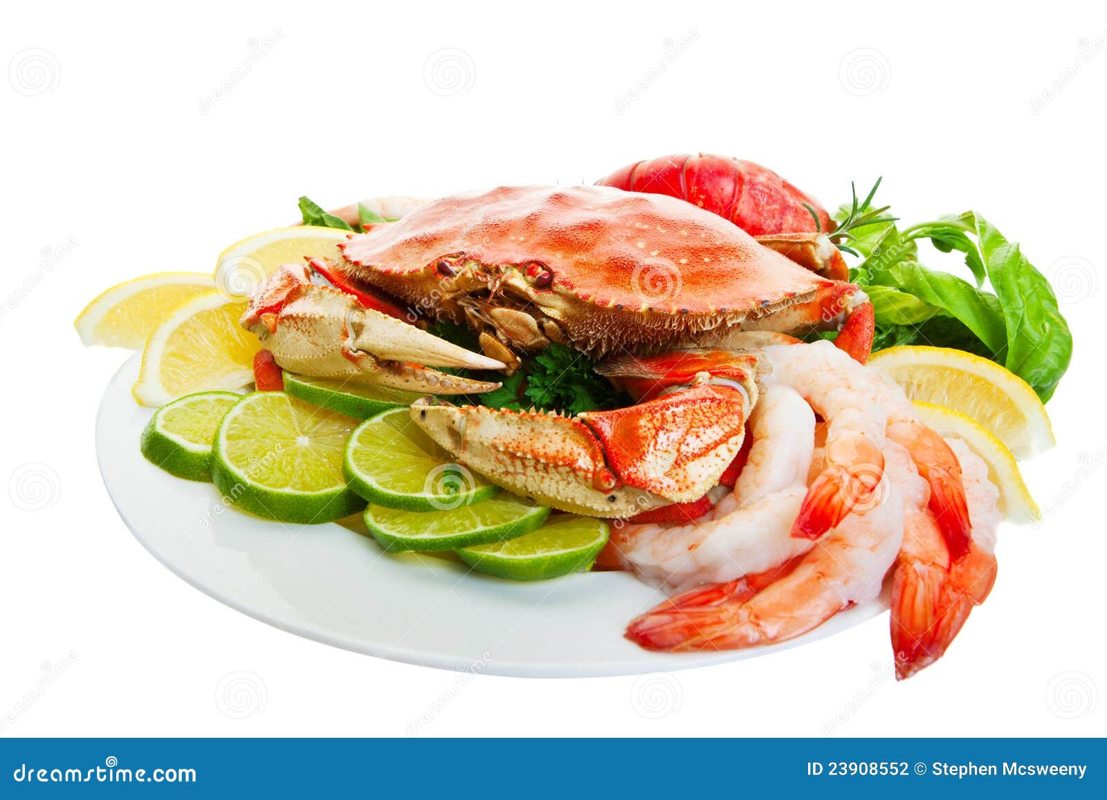 Crab platter stock photo. Image of lobster, menu, eating - 23908552