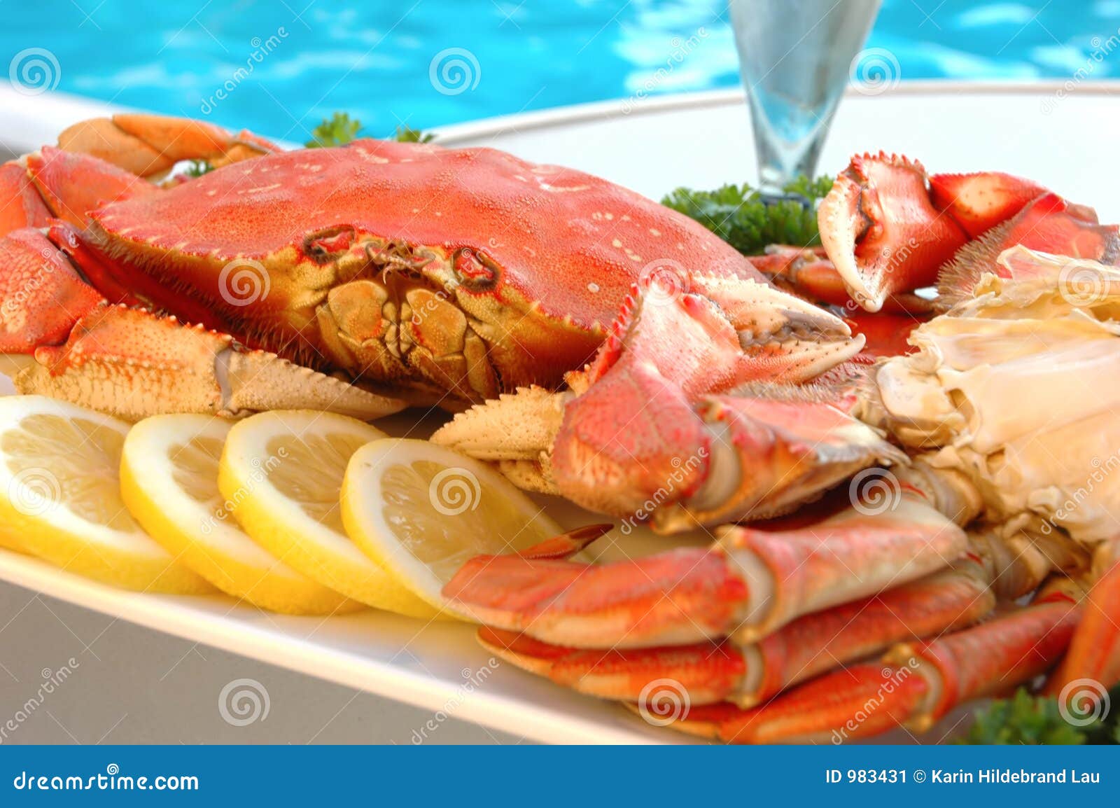 123 Dine Pool Stock Photos - Free & Royalty-Free Stock Photos from ...