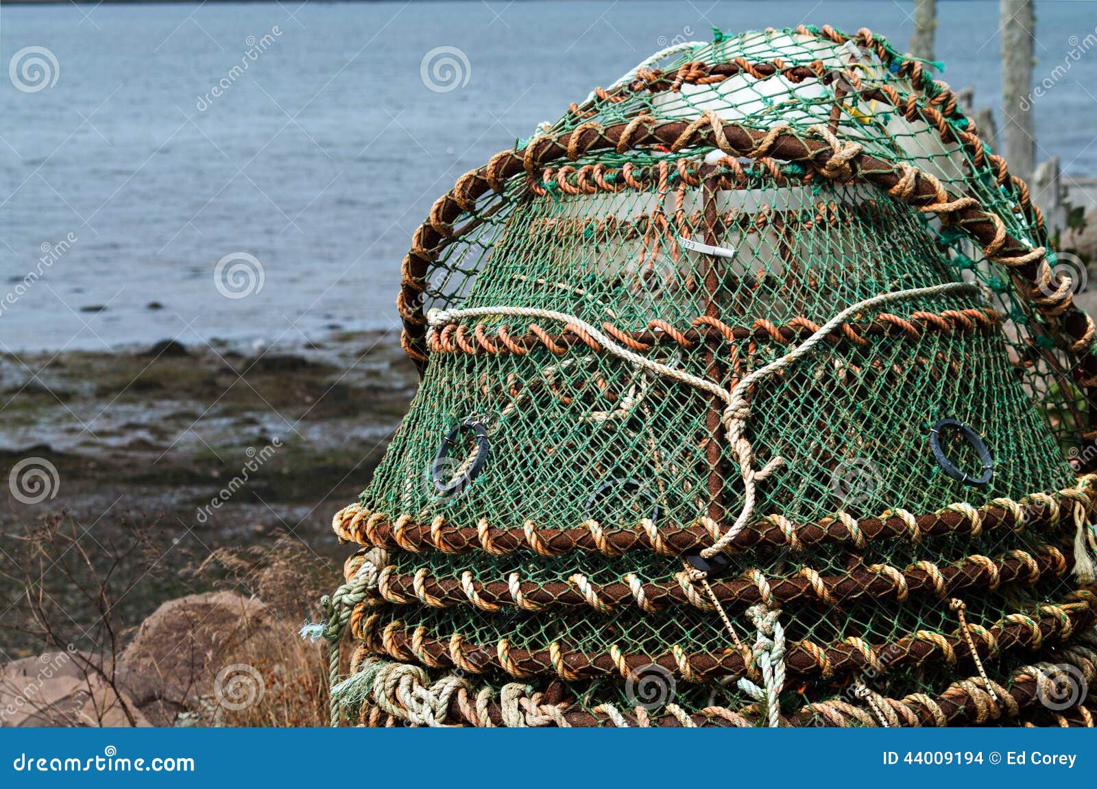 Crab Pots stock photo. Image of crab, cage, coast, seafood - 44009194