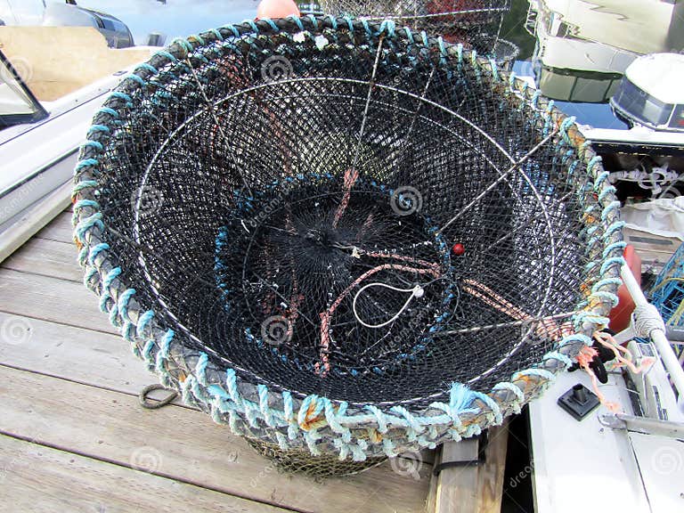 Crab ring nets stock photo. Image of delicacy, floats - 196476850