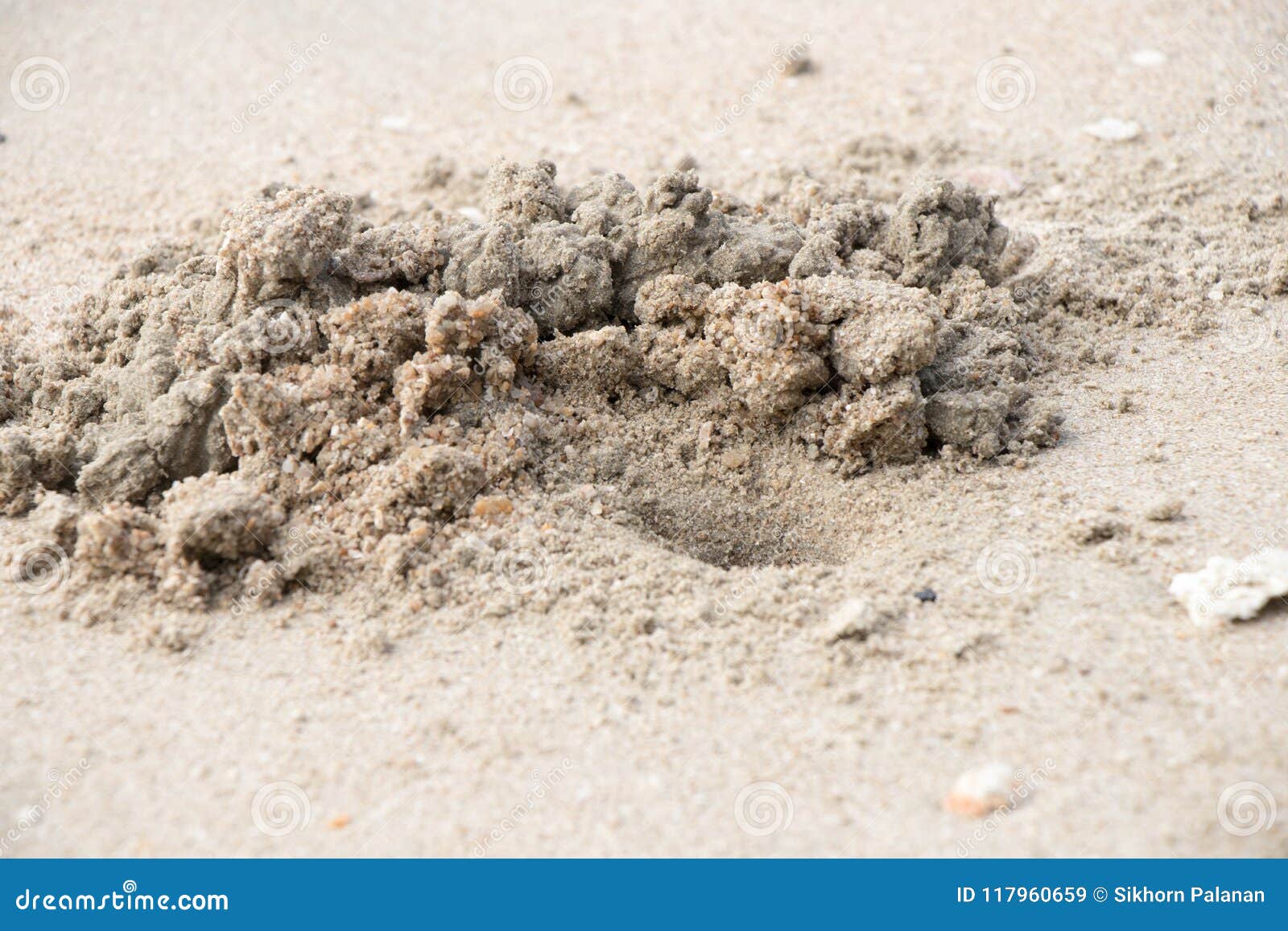 The Crab sand dug up stock image. Image of abstract - 117960659