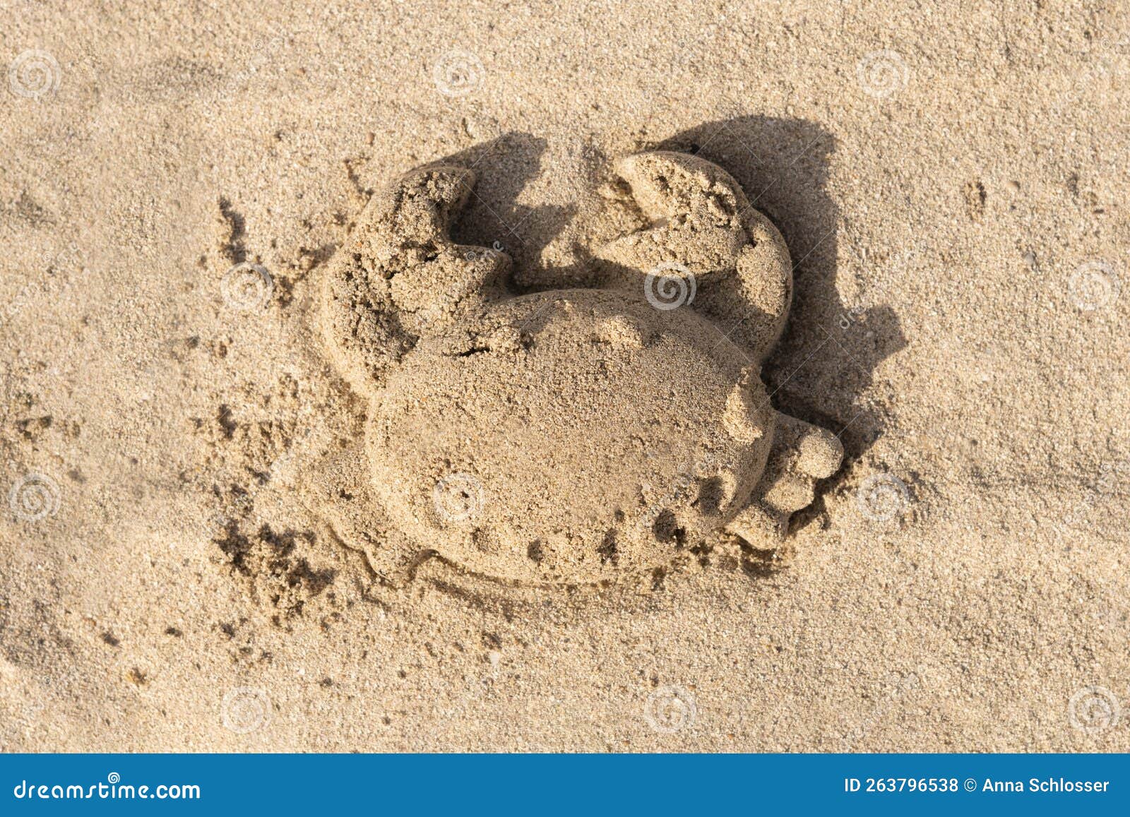 Crab Sand Pie on a Sunny Beach Tropical Holiday Stock Photo - Image of travel, summer: 263796538
