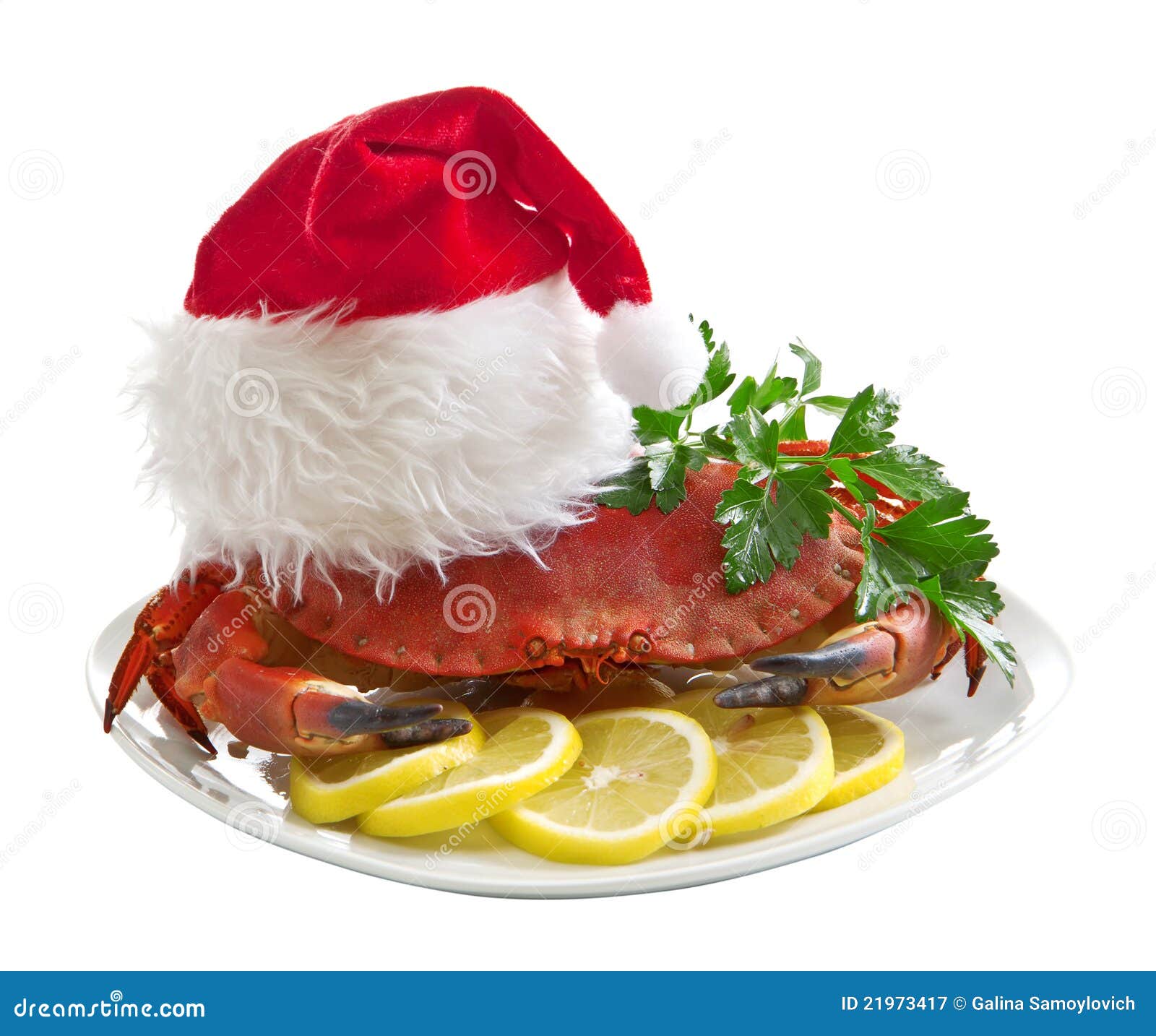 Crab in Santa Claus hat stock image. Image of close, gourmet - 21973417