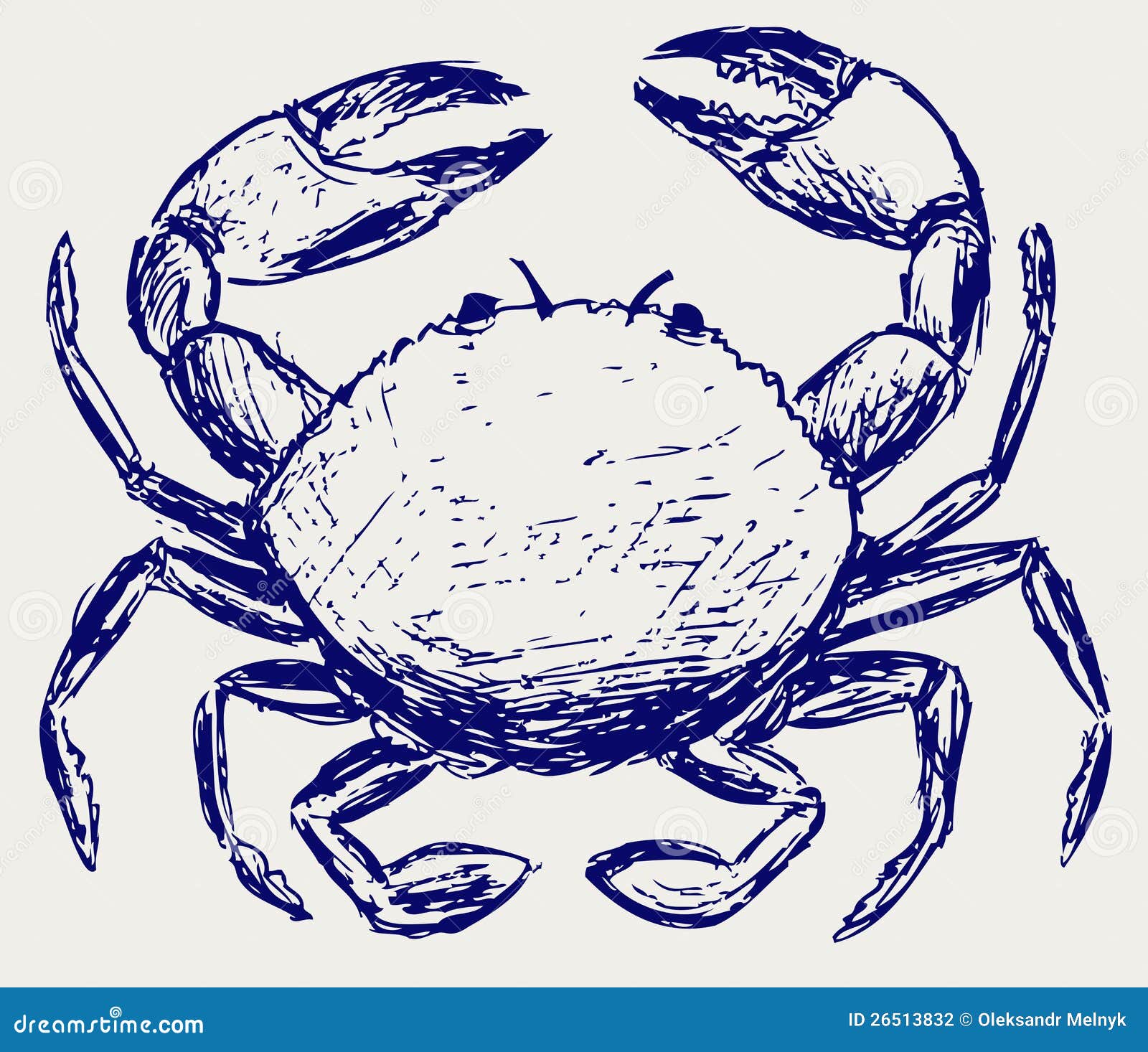 Crustaceans Drawing