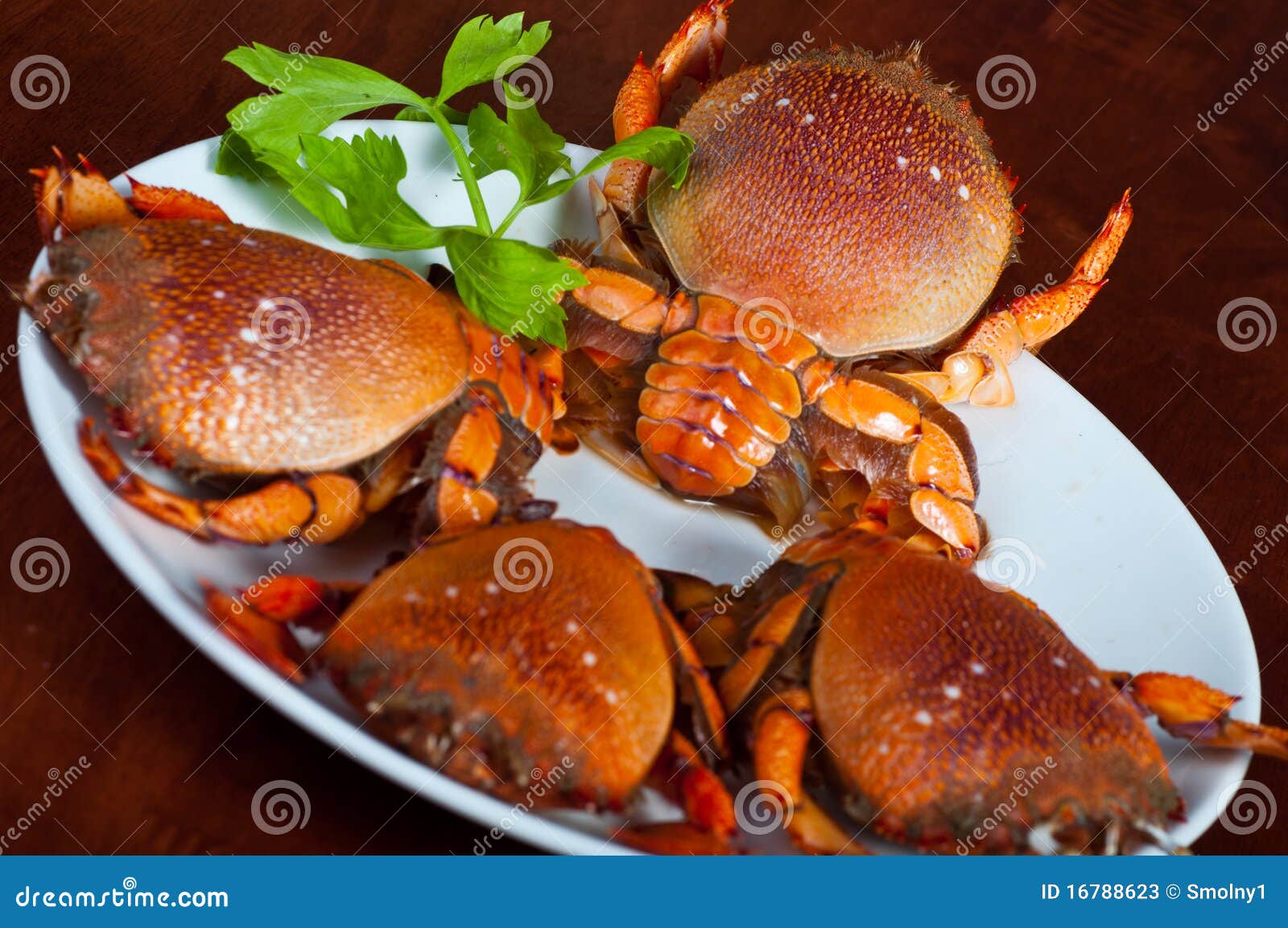 Crab team meeting stock image. Image of white, seafood - 16788623