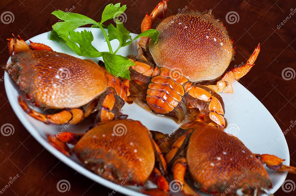 Crab team meeting stock image. Image of white, seafood - 16788623