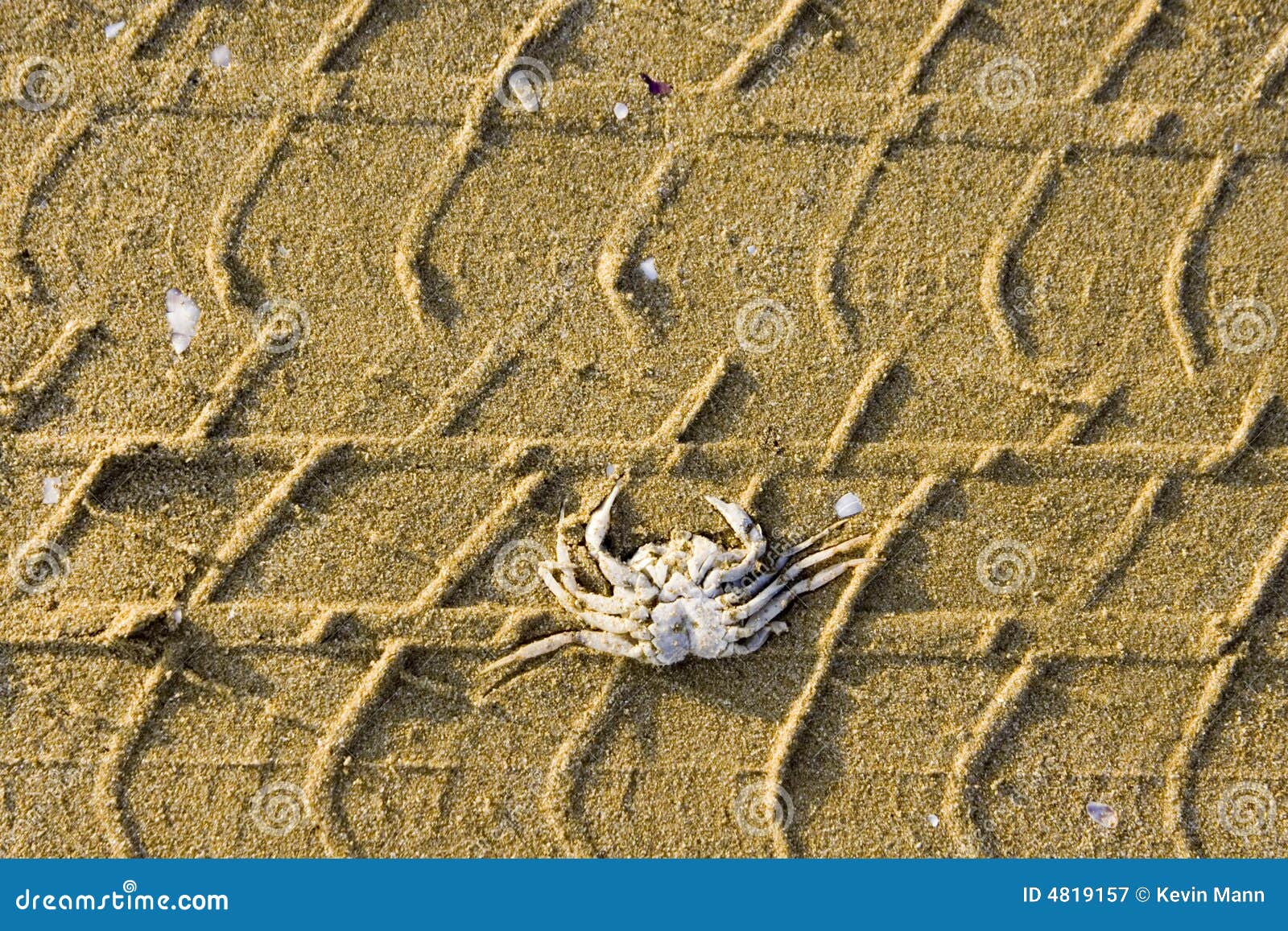 Crab tracks 4x4 evolution stock image. Image of track - 4819157