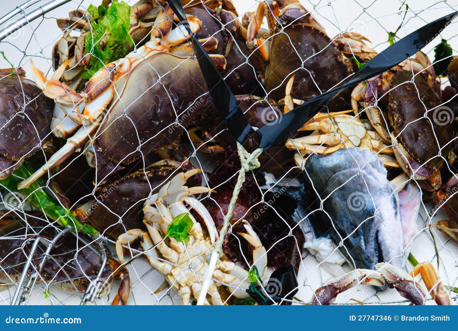 Crab Trap stock photo. Image of bait, dinner, canada - 27747346
