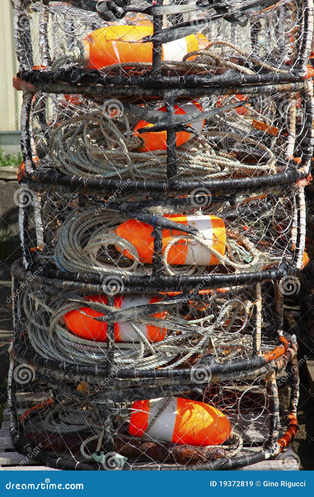Organized Ropes Stock Photos - Free & Royalty-Free Stock Photos from ...