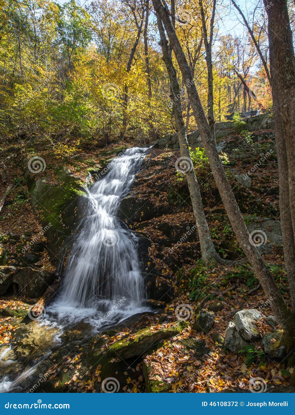 Crab Tree Falls stock photo. Image of yellow, wilderness - 46108372