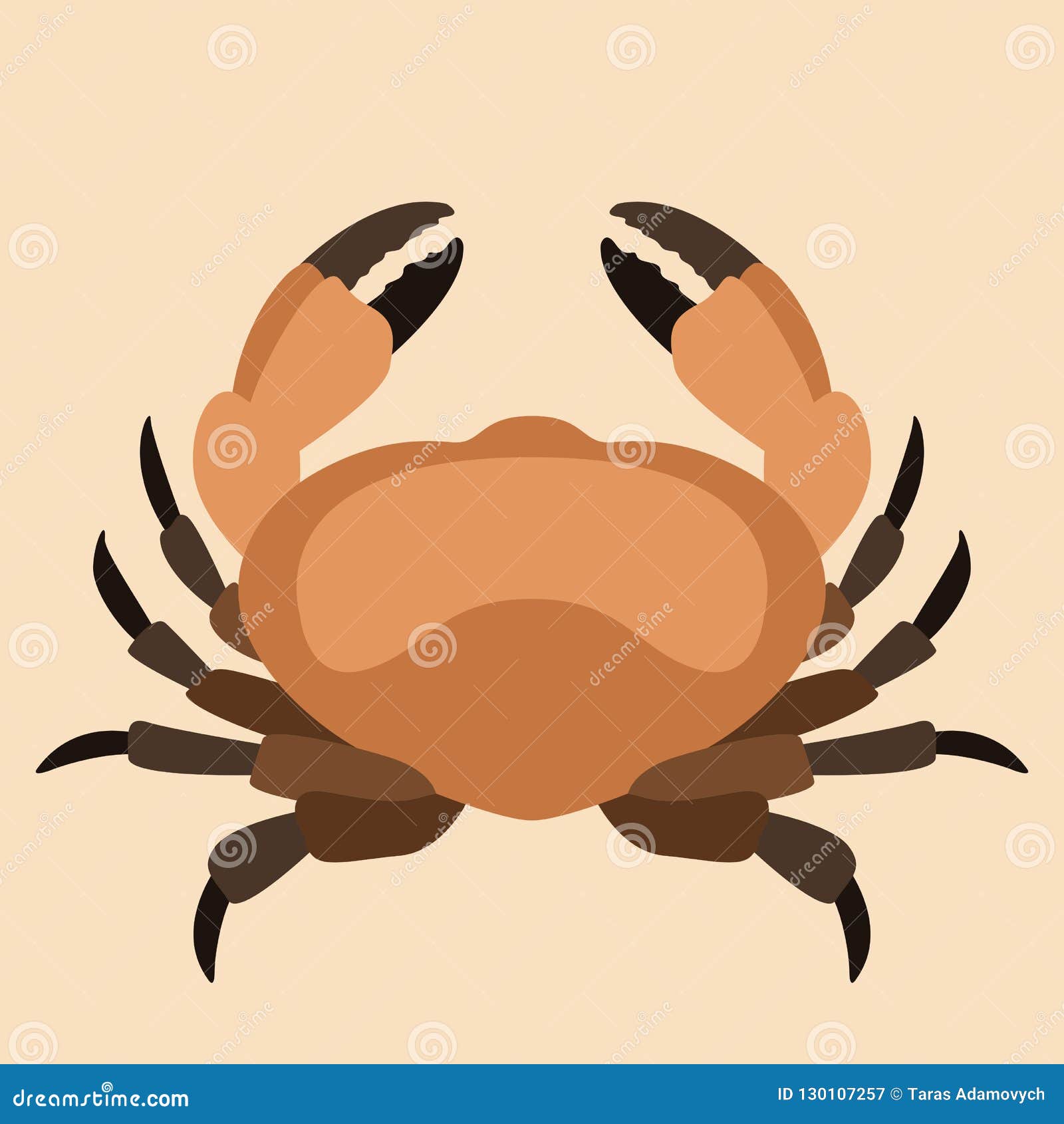 Crab Vector Illustration Flat Style Profile Stock Vector - Illustration ...