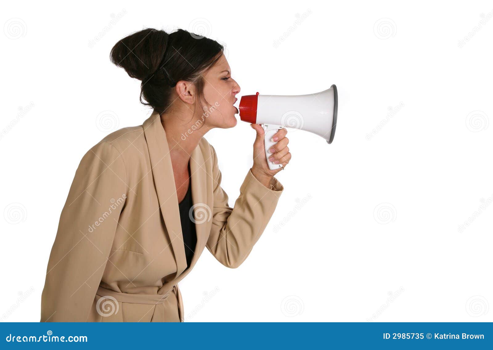 Crabby Business Woman Picture. Image: 2985735