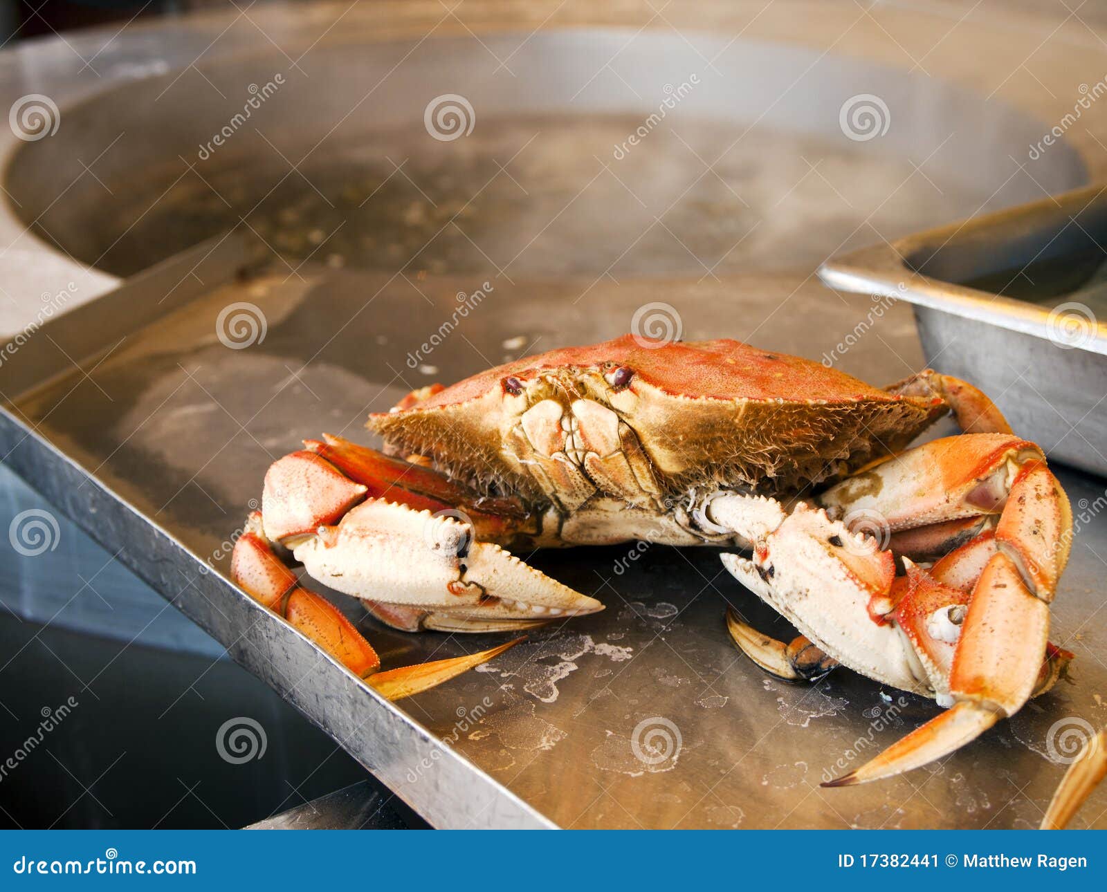 Crabe cuit image stock. Image du nourriture, bouilli - 17382441