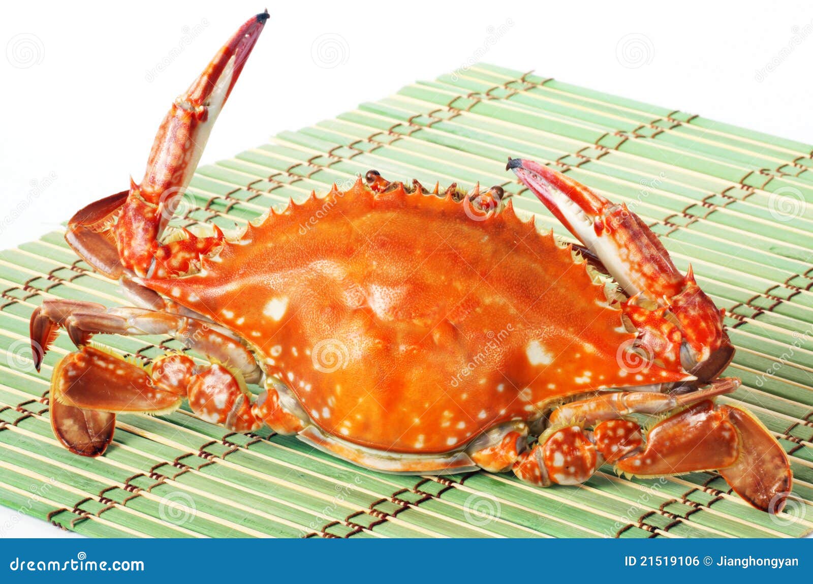 Crabe cuit photo stock. Image du seafood, bambou, isolement - 21519106