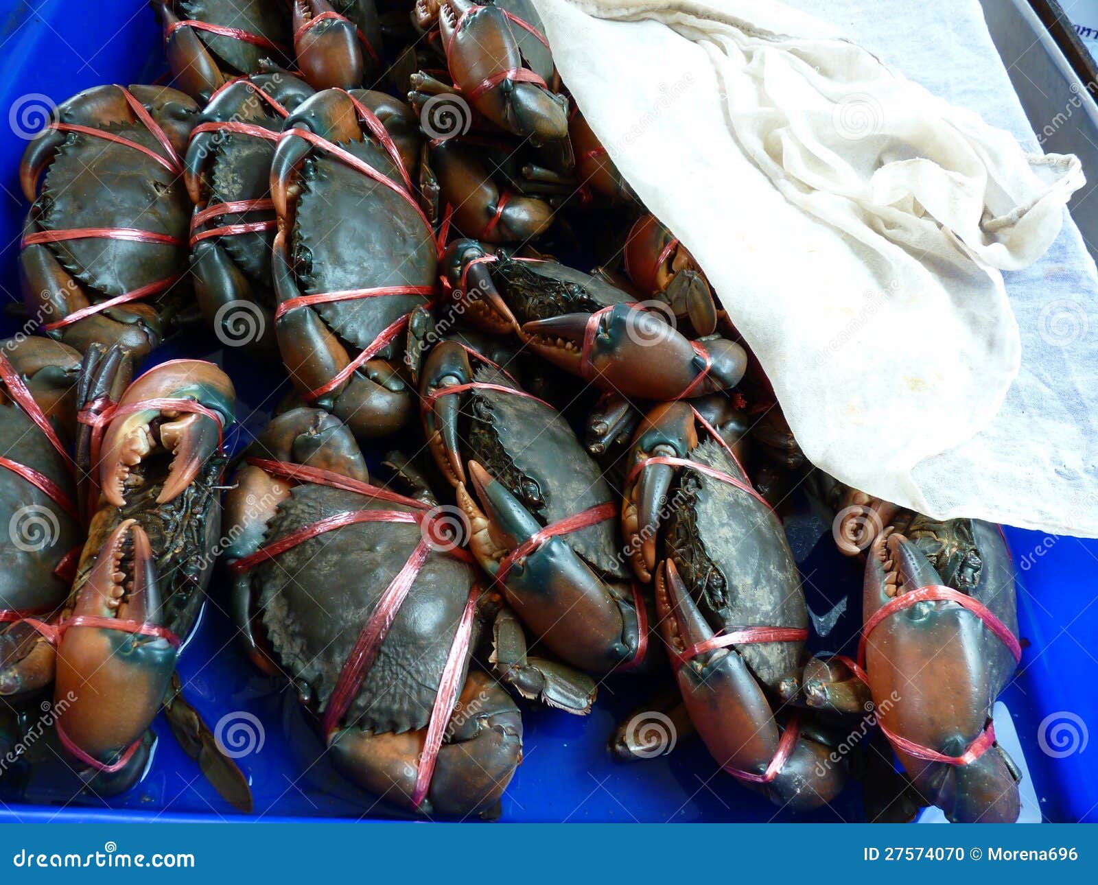 Crabs stock photo. Image of tempting, wholesome, exotic - 27574070