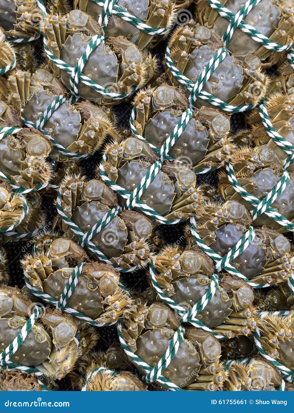 183 Crabs Open Stock Photos - Free & Royalty-Free Stock Photos from ...