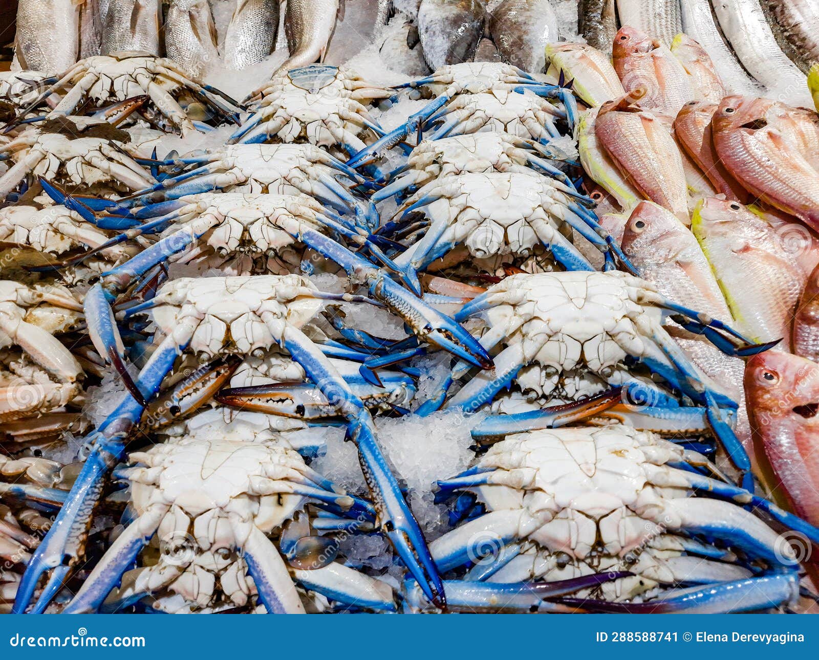 Crabs with Blue Claws and Raw Fish on Ice at Fish Market Stock Image ...
