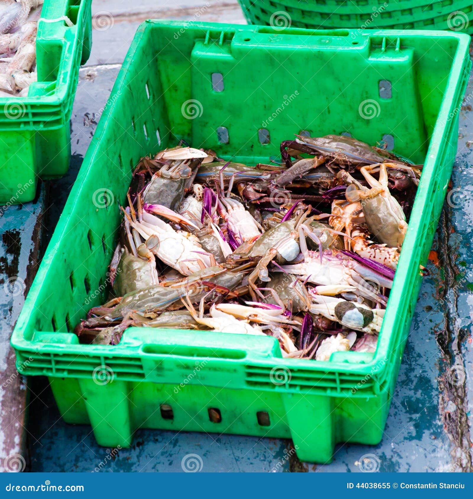 Crabs in the Green Plastic Box at the Fish Market Stock Image - Image ...
