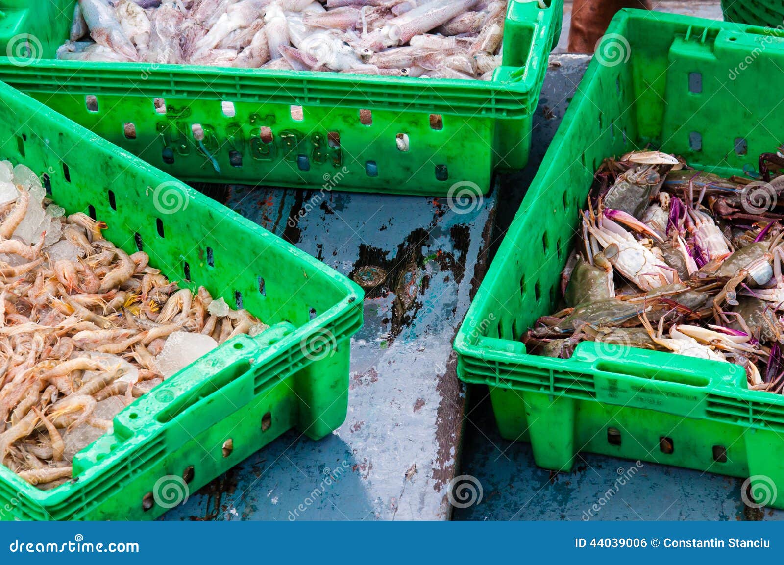 Crabs in the Green Plastic Box at the Fish Market Stock Photo - Image ...