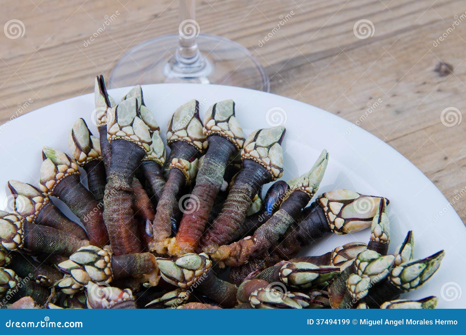 Cracas imagem de stock. Imagem de alimento, espanha, detalhe - 37494199