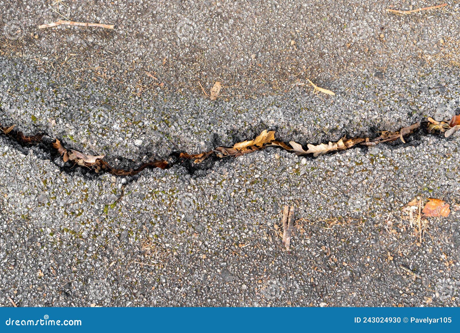 Crack in the Asphalt Road. Break of the Pavement Surface Stock Photo ...