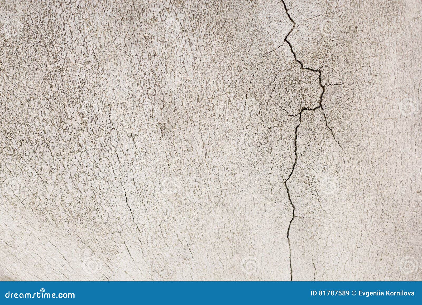 Crack Bone Stock Photos - Royalty Free Stock Images